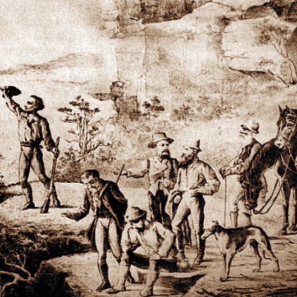 Our History | Mayfield Vineyard