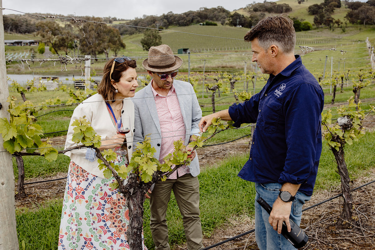 Mayfield Vineyard | Orange NSW | Mayfield Vineyard