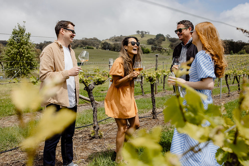 Welcome To The Wine Club | Mayfield Vineyard
